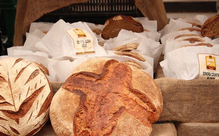 Diabetic Bread Recipes In Your Bread Machine The Ultimate Guide